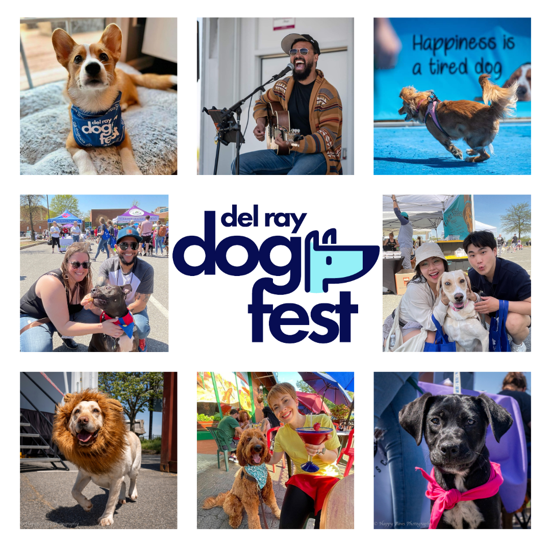 Del Ray Dog Fest 2025 - DRBA
